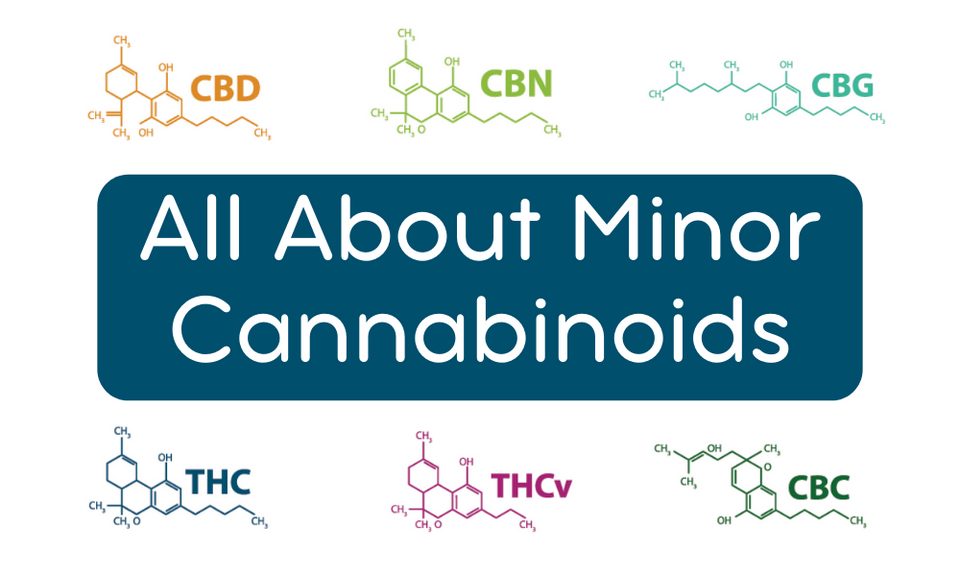 The Value of Minor Cannabinoids – Spectrum Therapeutics