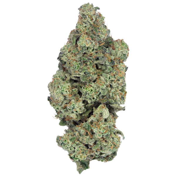 New – Spectrum Therapeutics